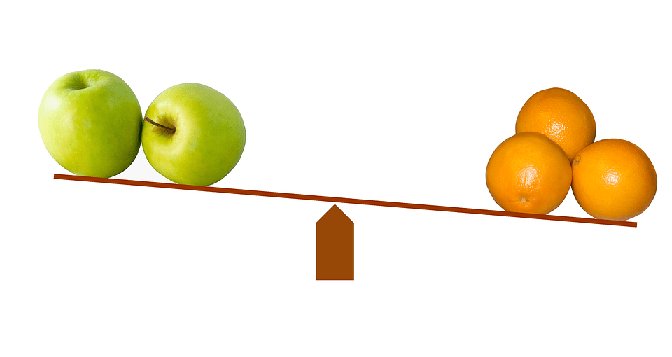 The Comparison Fallacy – Julie A. Vermette